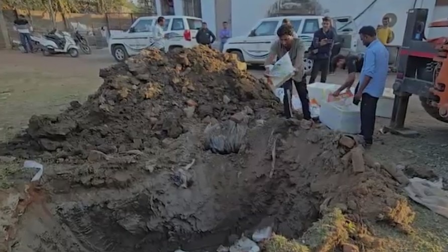 Fake paneer factory busted in Chhattisgarh, 450 kg seized and destroyed