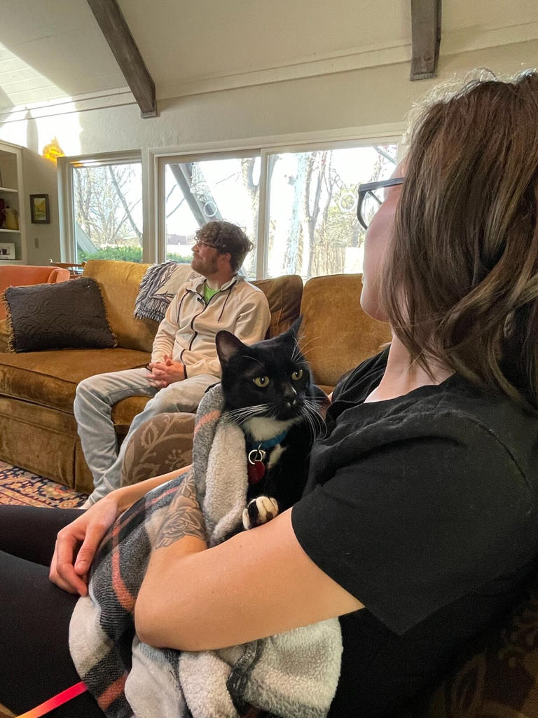 Lost cat's journey ends with happy reunion, 5 months and 4,000 km later