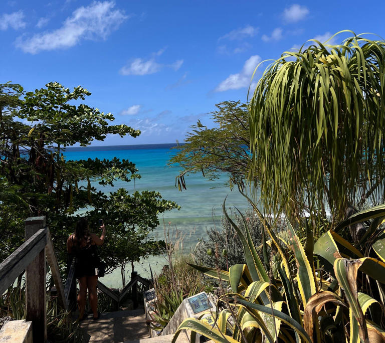 A culinary journey through Barbados' food scene
