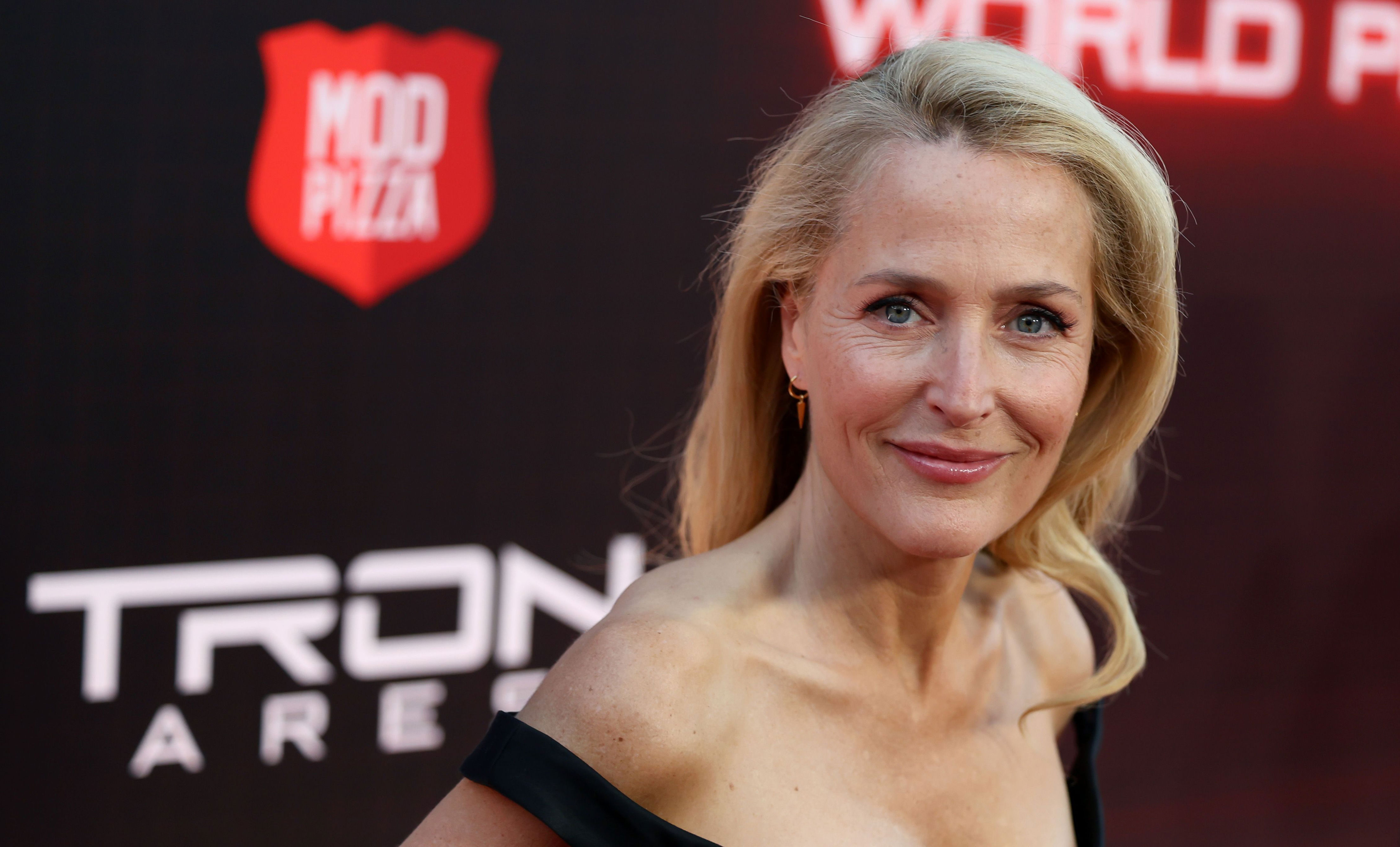 11 things you didn't know about 'The Abandons' star Gillian Anderson