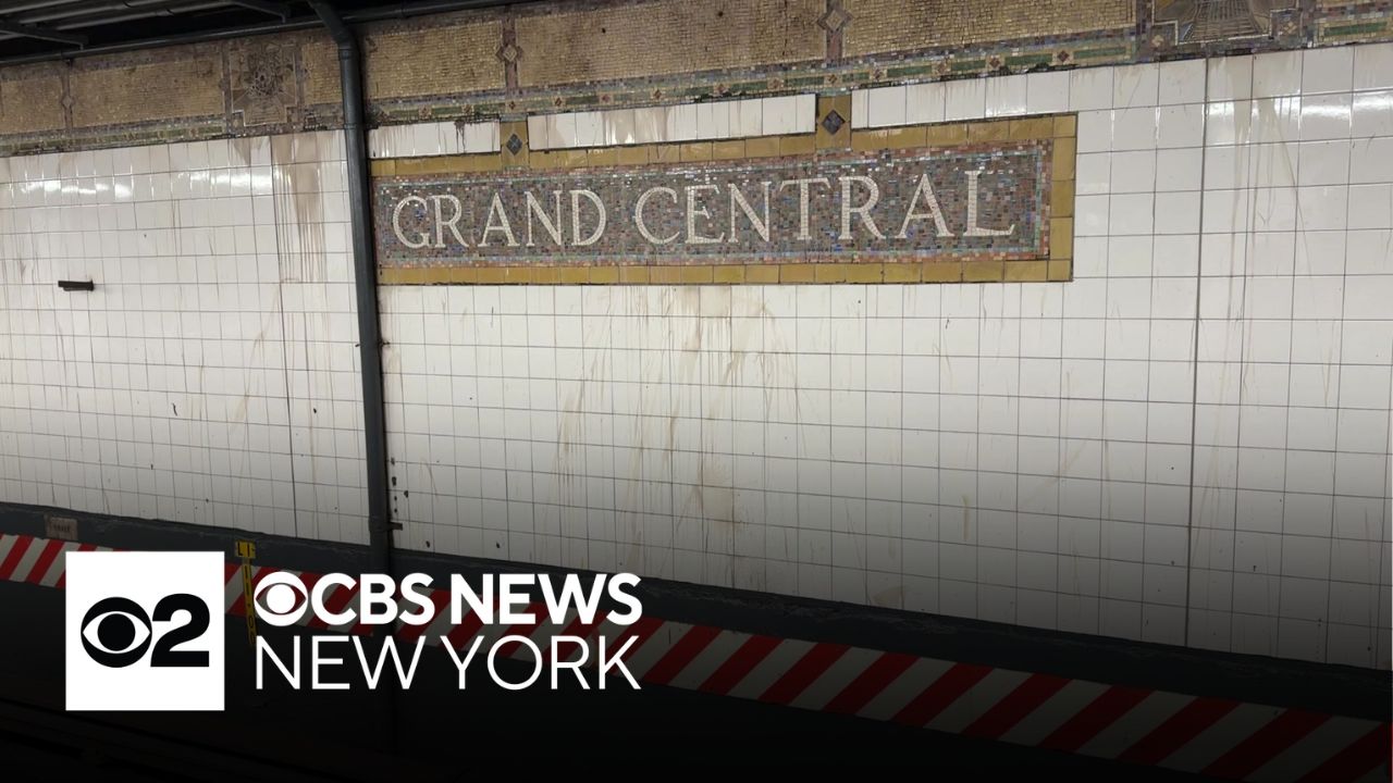 Man slashed in head on 6 train at Grand Central subway station, police say