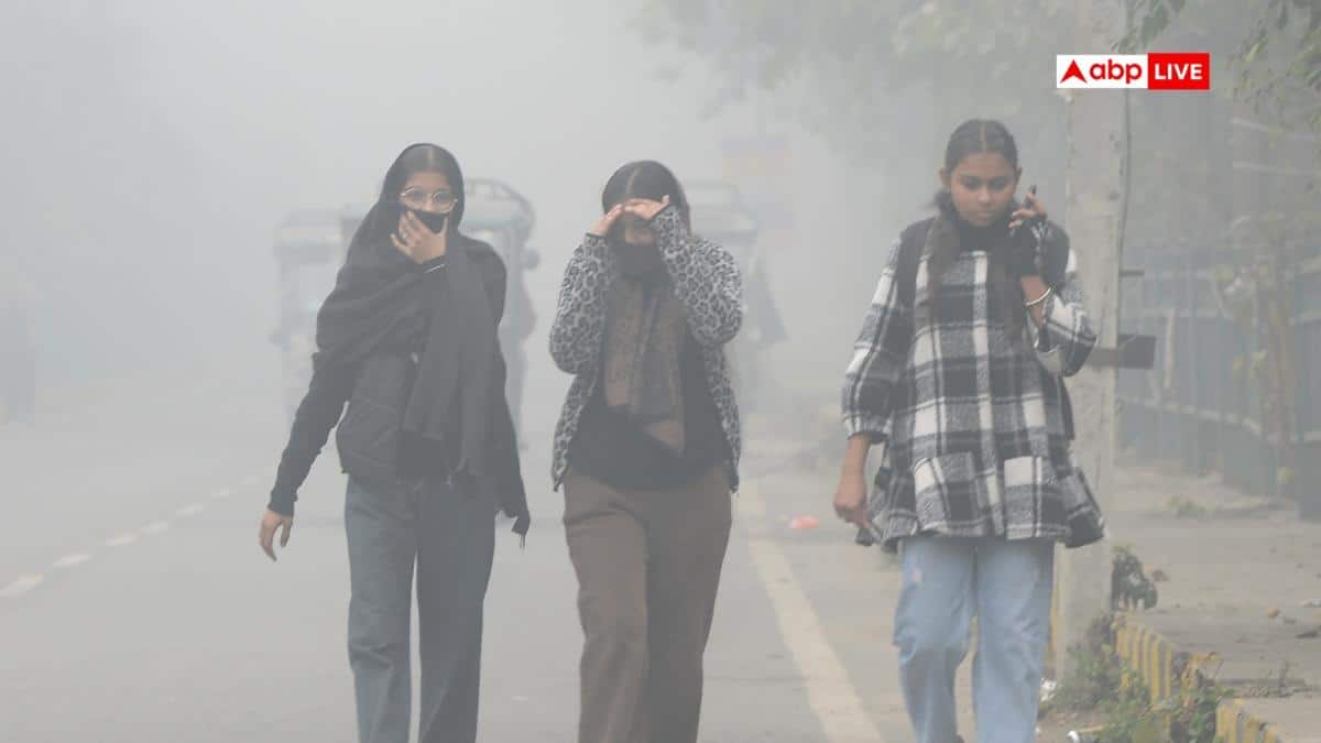 Dense fog, cold-day alerts grip UP; check IMD forecast for next 48 hours