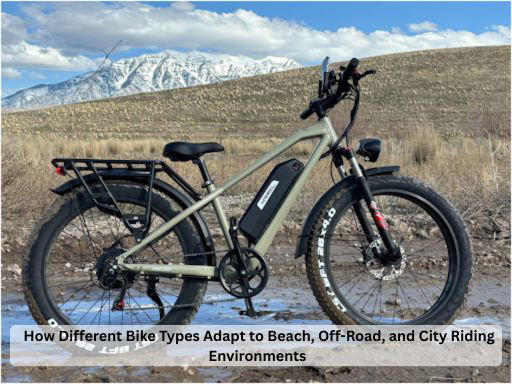 How different bike types adapt to beach, off-road, and city riding ...