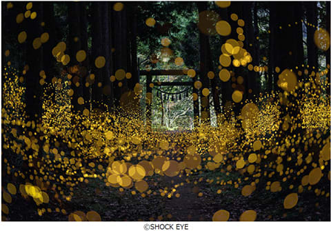 SHOCK EYE写真展：和景讃歌 the power of Japanese scenery