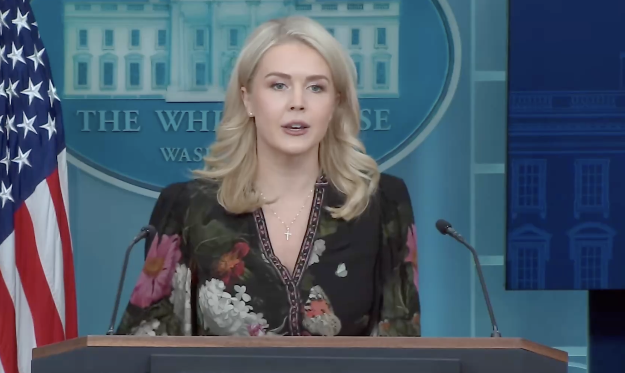 'Democrats are intentionally hurting American families': Karoline ...