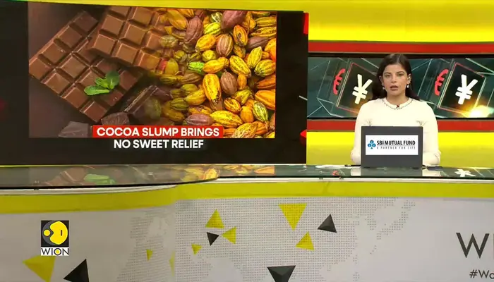 Cocoa slump brings no sweet relief
