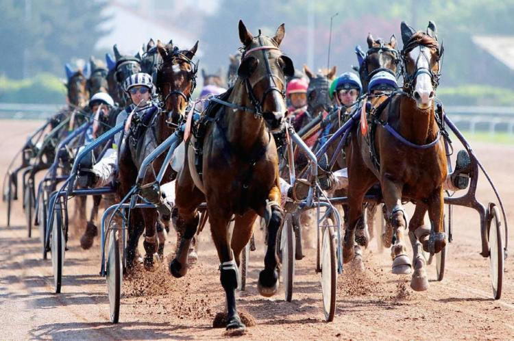 Prix d’Amérique. À quelle heure et sur quelle chaîne suivre le Prix ...
