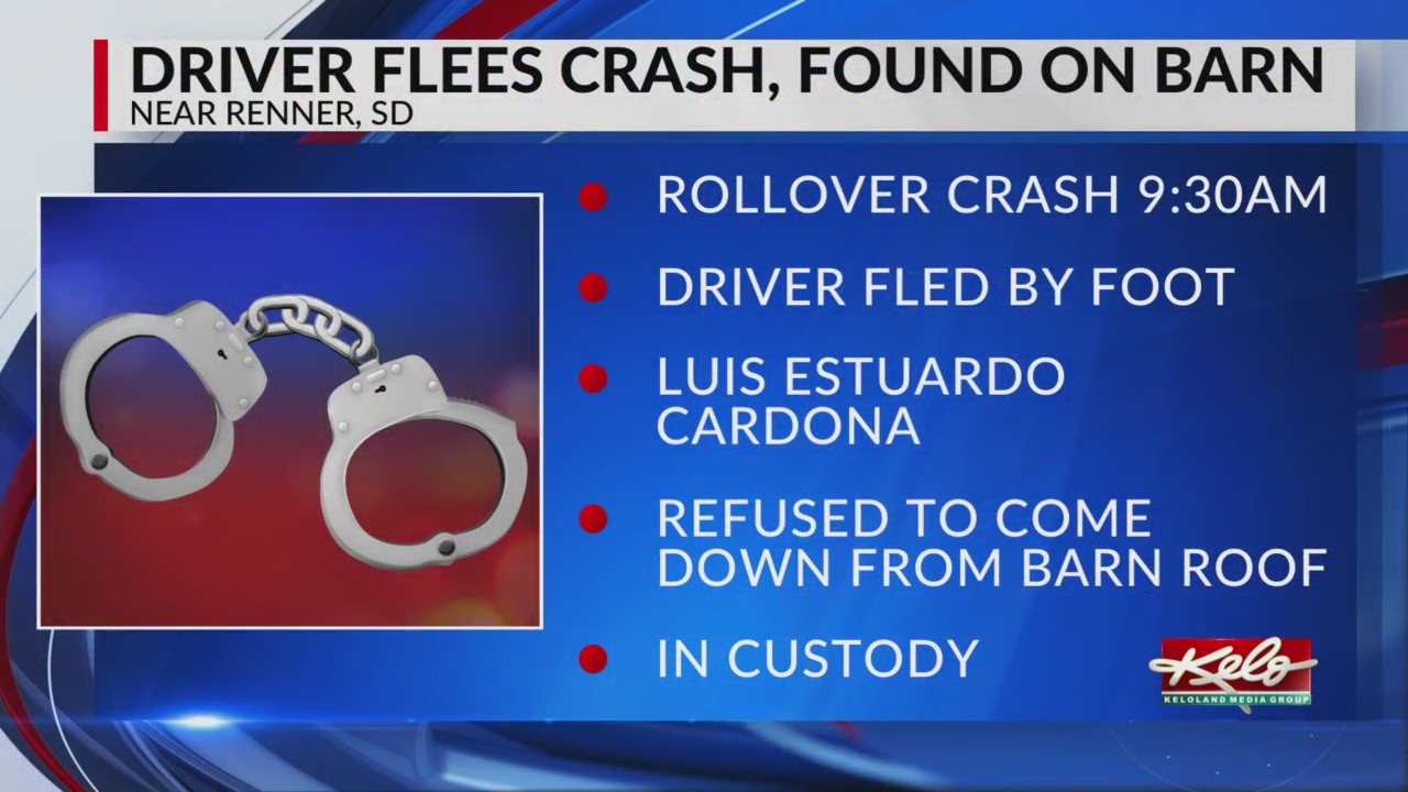 Driver flees crash, found on barn