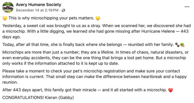 Cat lost during Hurricane Helene miraculously reunited with family ...