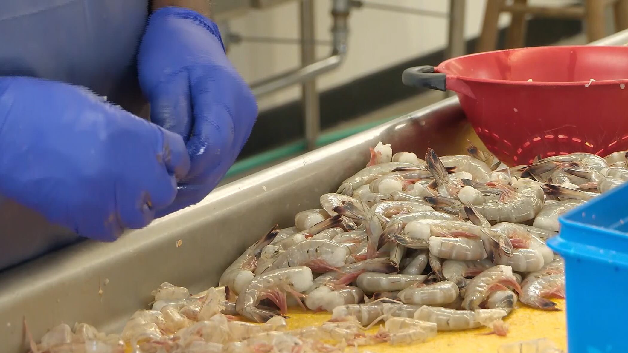 Bill aims to protect SC fisheries from foreign competition