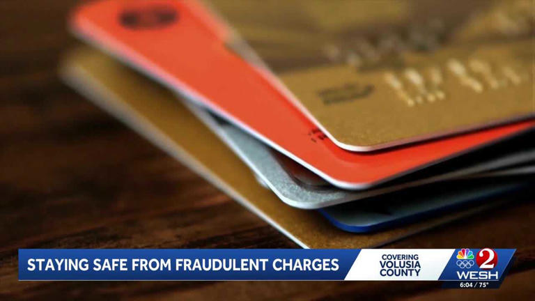 Volusia sheriff warns of holiday credit card fraud