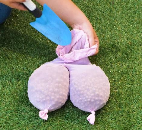 Bloom your garden: Fun tips for thriving plants