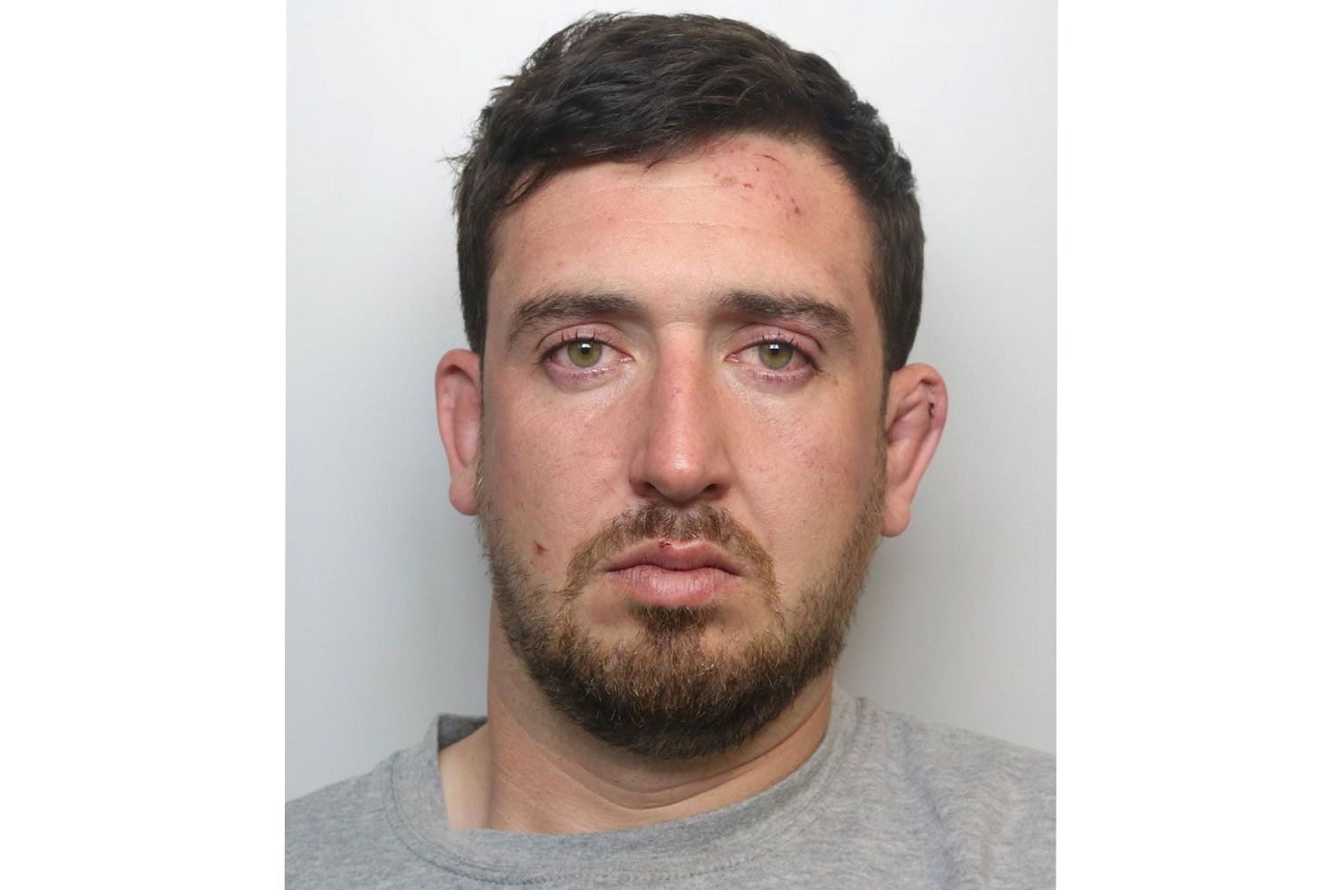 Wedding usher, who was 'behaving like a wild animal,' sentenced to 5 ...
