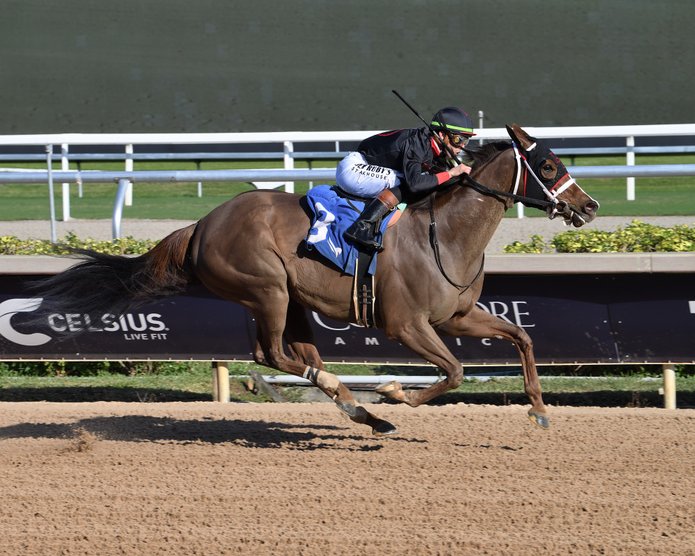 Ms. Bucchero takes on males in Sunshine Sprint