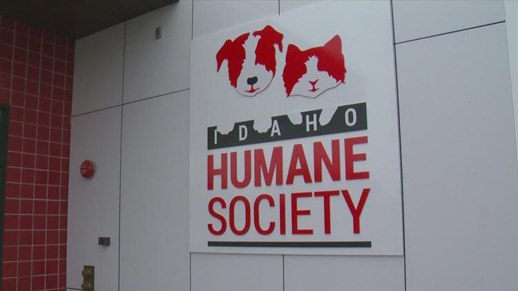 Decades-old Idaho law forces euthanasia of injured wildlife, Idaho ...