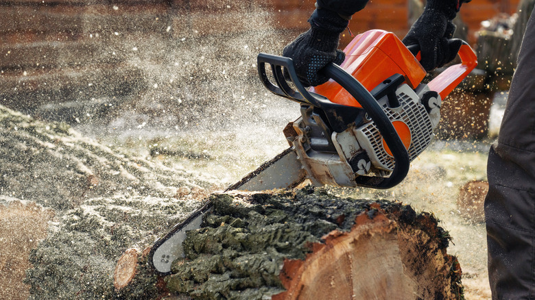 12 worst-rated chainsaws that aren't worth buying, according to users