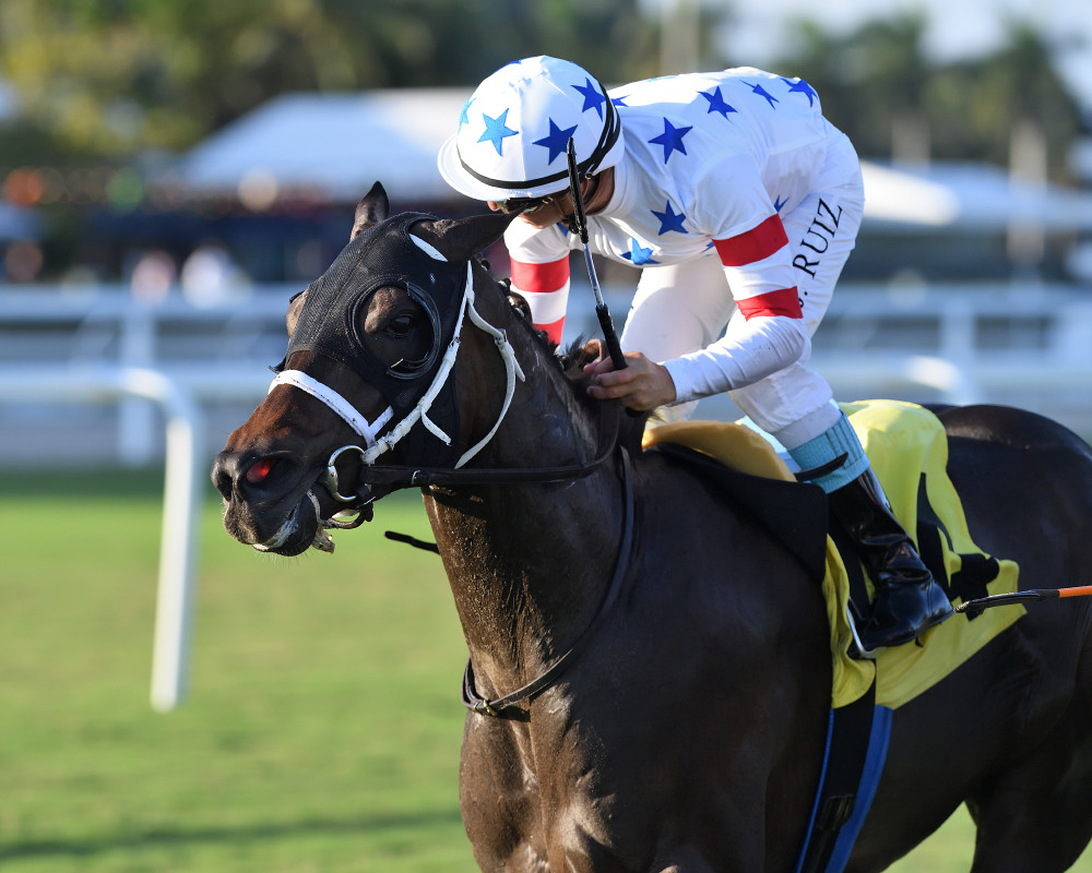Crevalle d’Oro, Reef Runner, Ms. Bucchero score stakes wins at ...