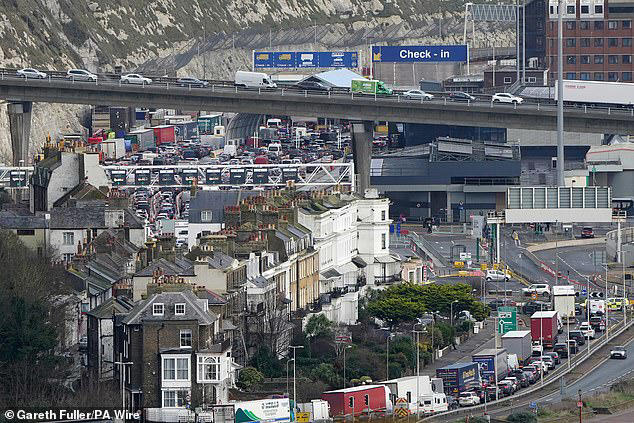 Travel gridlock as IT glitch hits French border control and skiers face ...