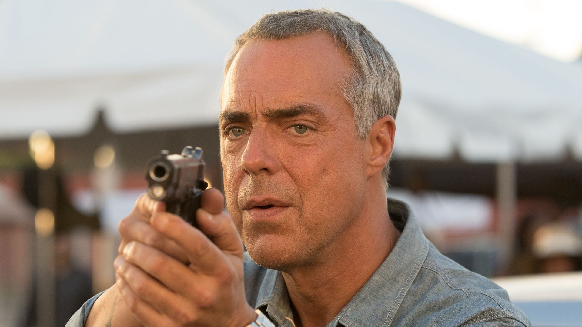 Titus Welliver's potential Bosch return in Ballard season 2 officially ...