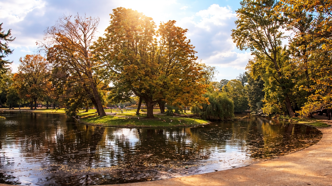 Rolig eftermiddag ved søen i Vondelpark, Amsterdam