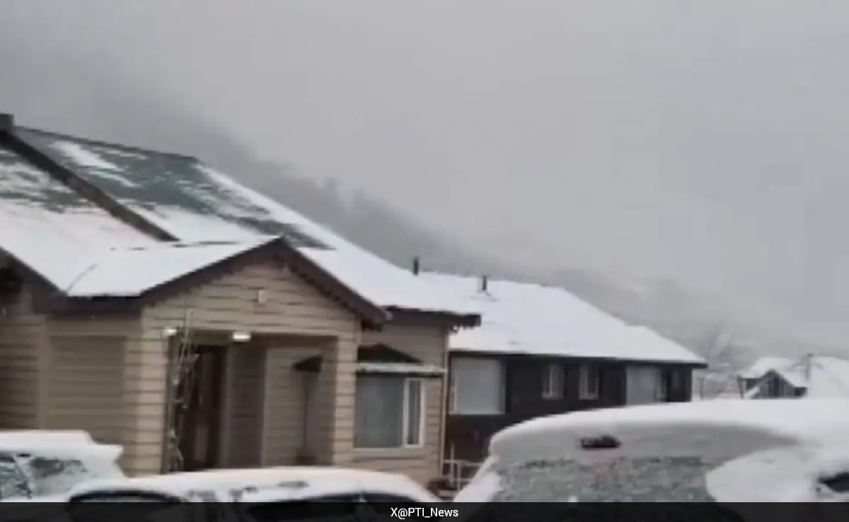 Videos: Kashmir sees season's first snowfall as harsh winter begins