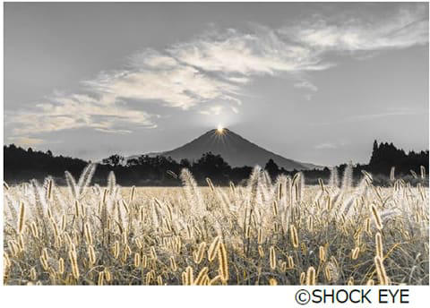 SHOCK EYE写真展：和景讃歌 the power of Japanese scenery