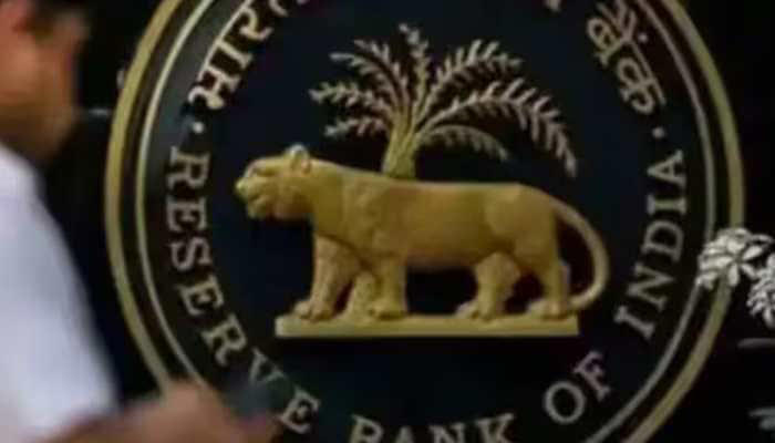 RBI MPC likely to stay on extended pause; rate cuts to depend on ...