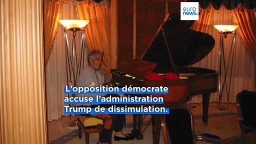 Publication partielle du dossier Epstein : l'administration Trump ...