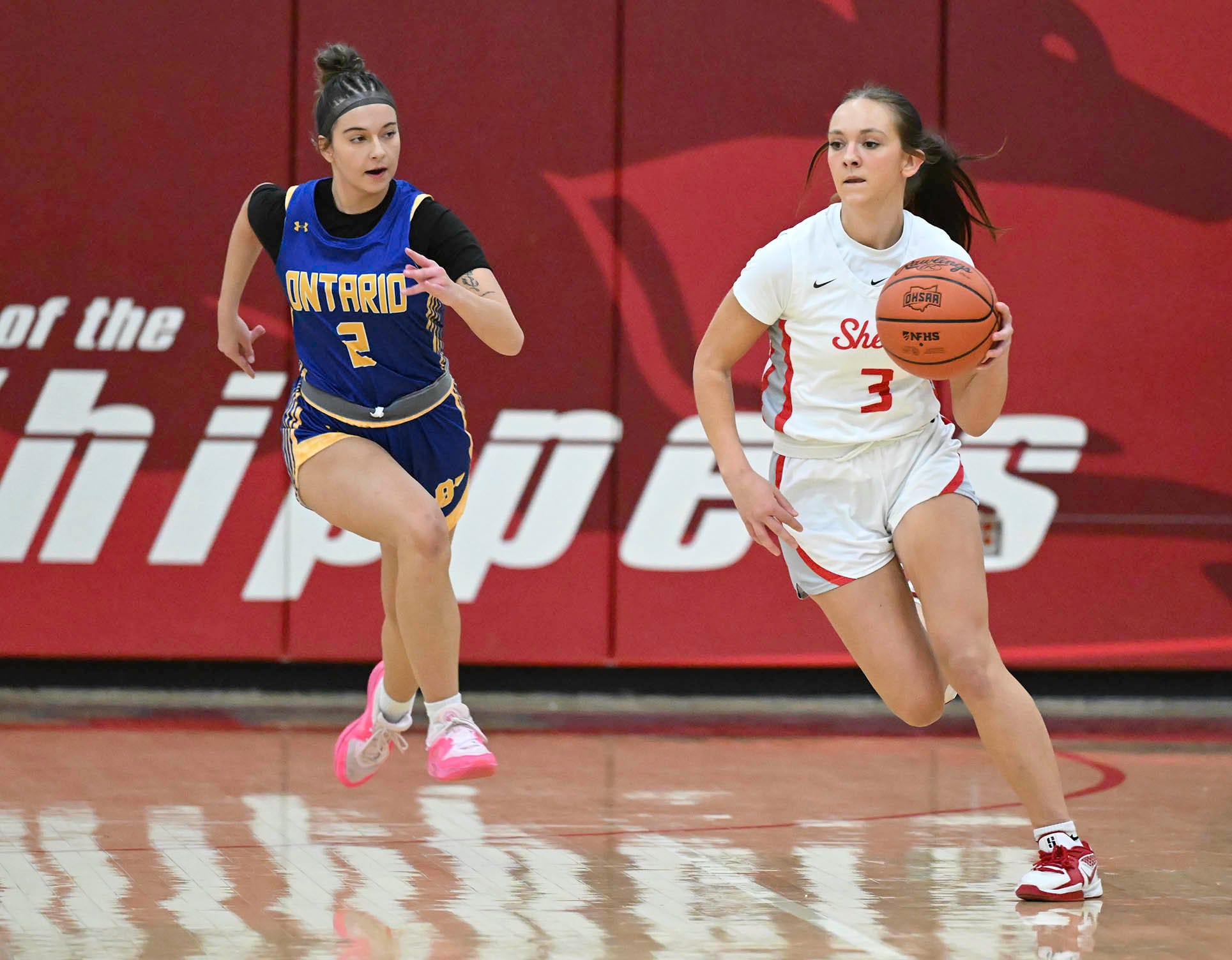 Richland County girls basketball scoreboard: Whippets, Colts, Flames ...