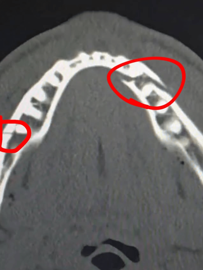 Anthony Joshua apologises to Jake Paul’s family after American revealed ...