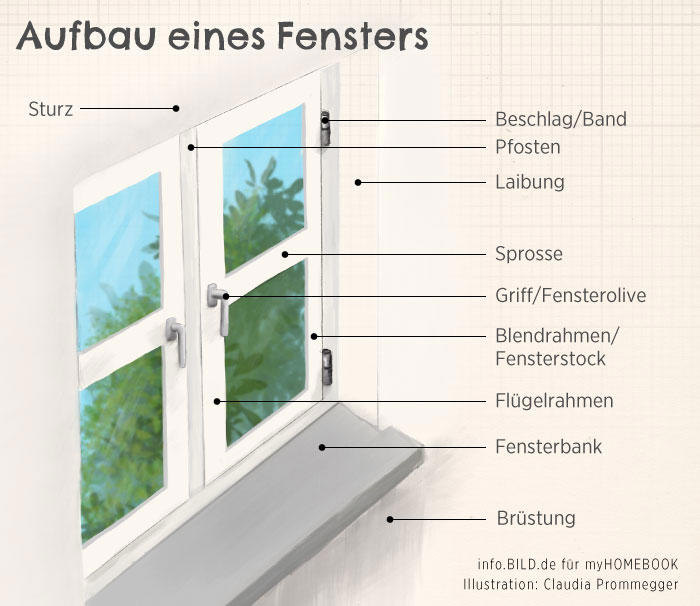Are my windows too old? A simple trick reveals the answer