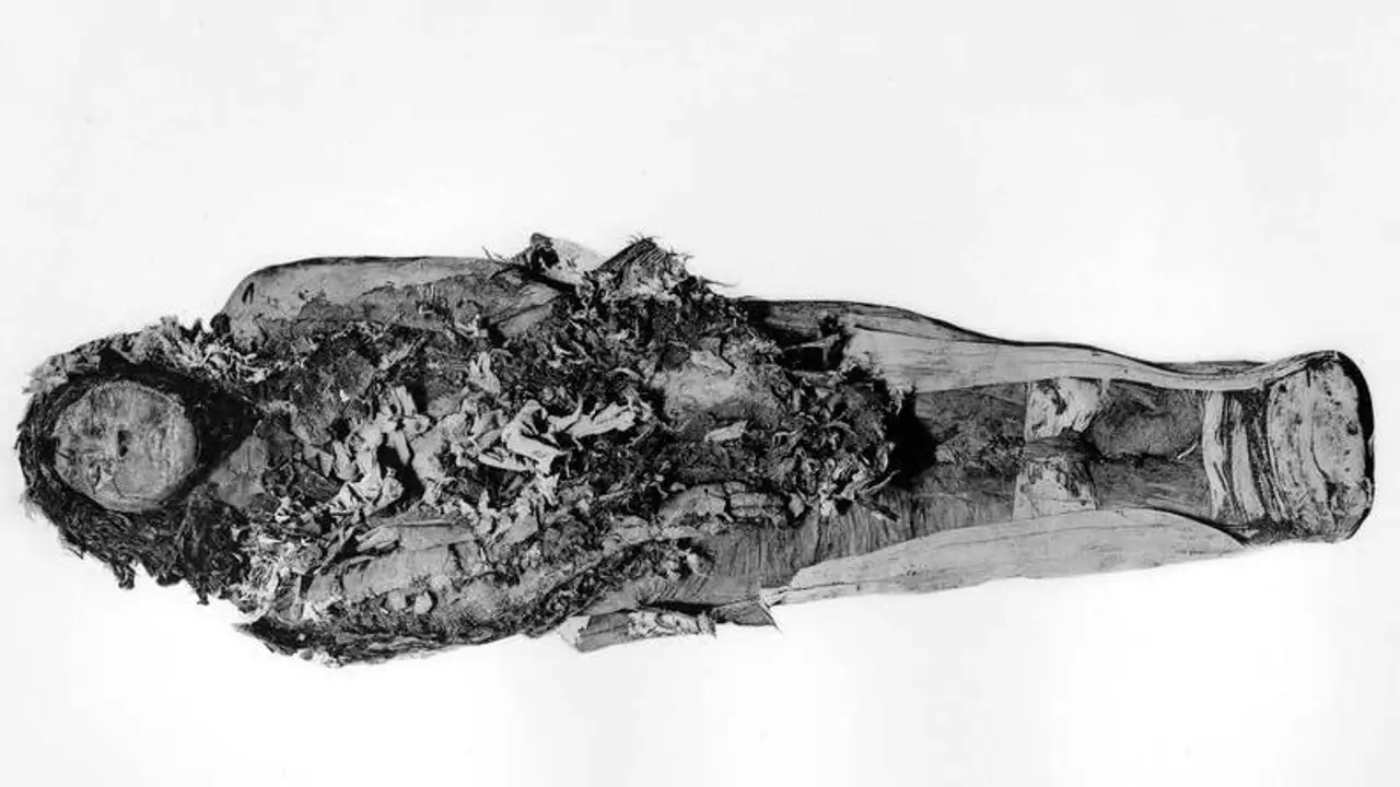 El maravilloso ataúd de Maatkare: la Divina Adoratriz de Amón