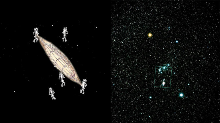 Des astérismes autochtones à regarder dans le ciel cet hiver