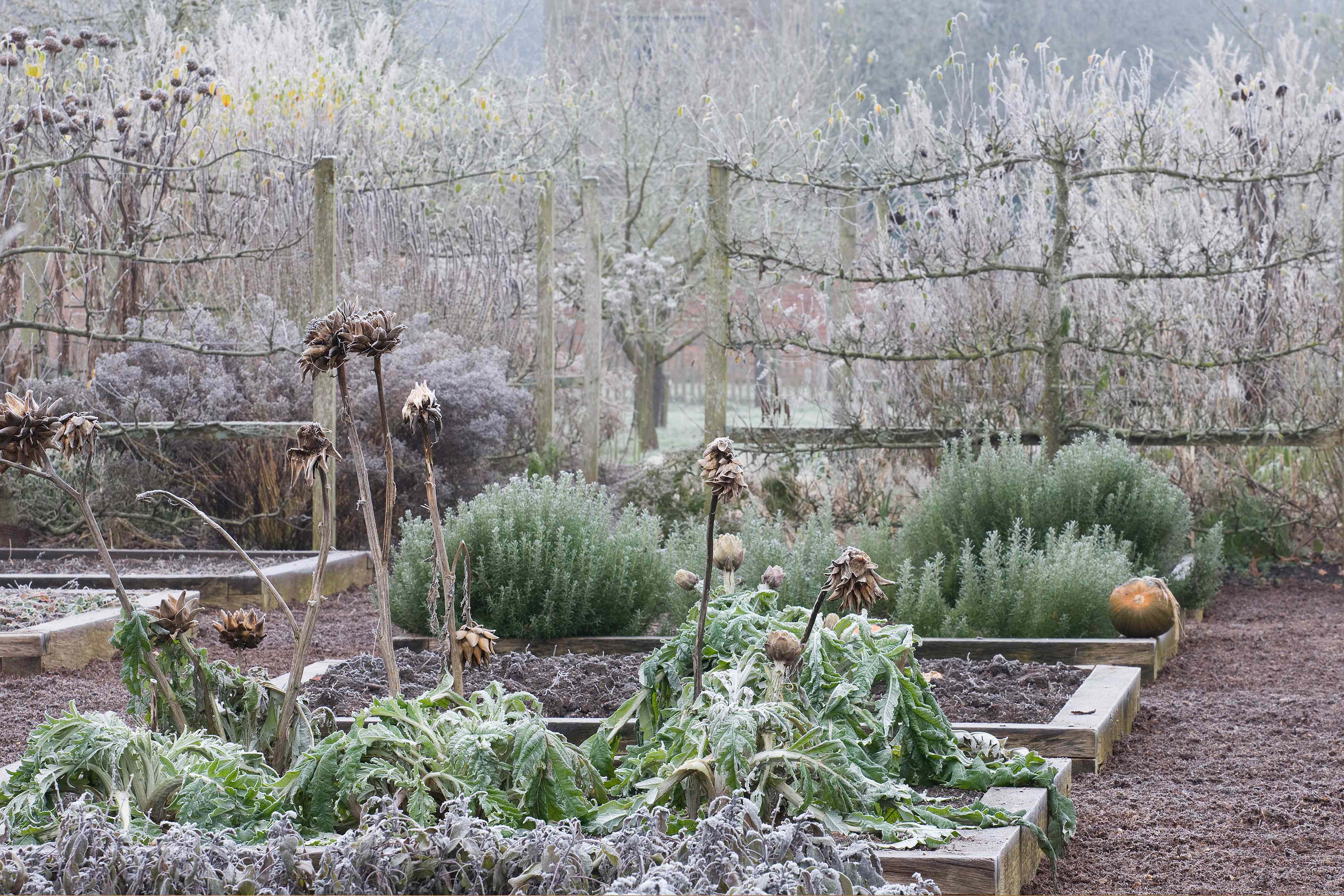 How to keep your garden pathways safe and beautiful through winter