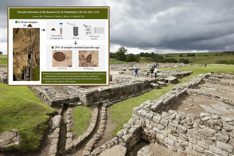 Rzymianie cierpieli na biegunki? W latrynie odkryto pasożyty