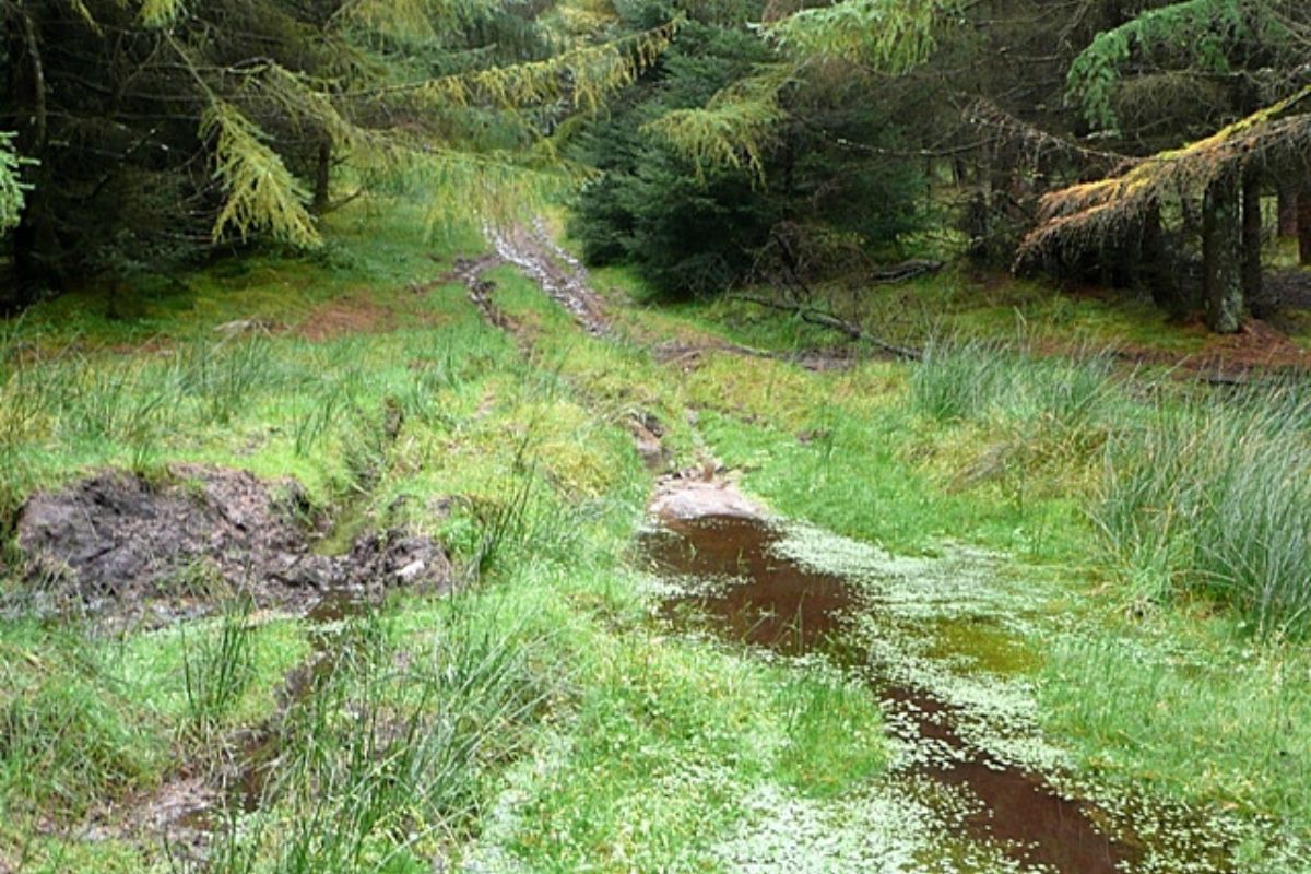 7 signs you should not drive down a remote road