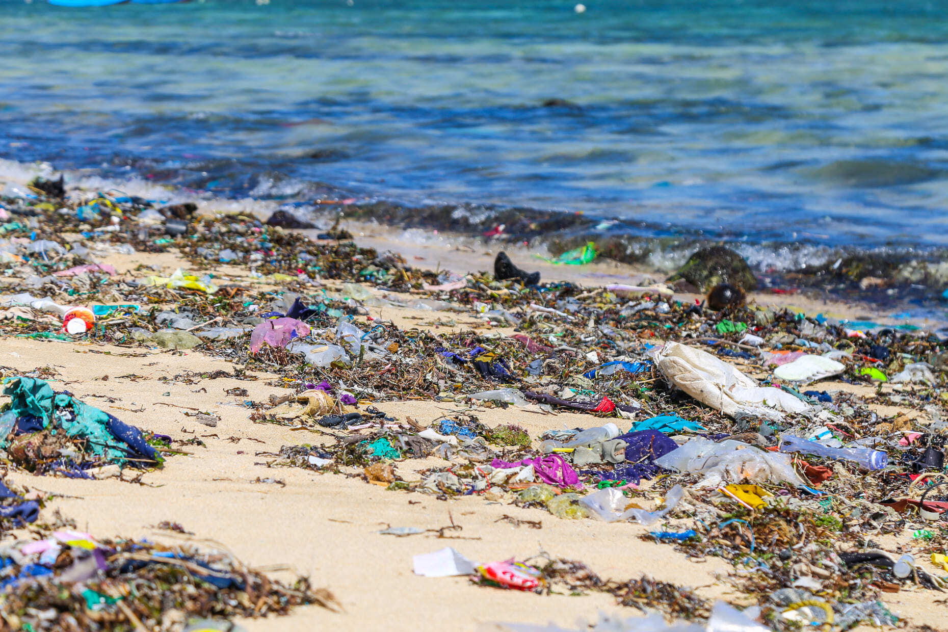 World Ocean Day: 20 awful images of plastic suffocating our oceans