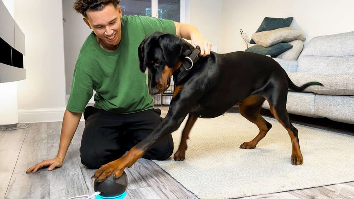 My Dogs Hilarious Reaction to Alexa