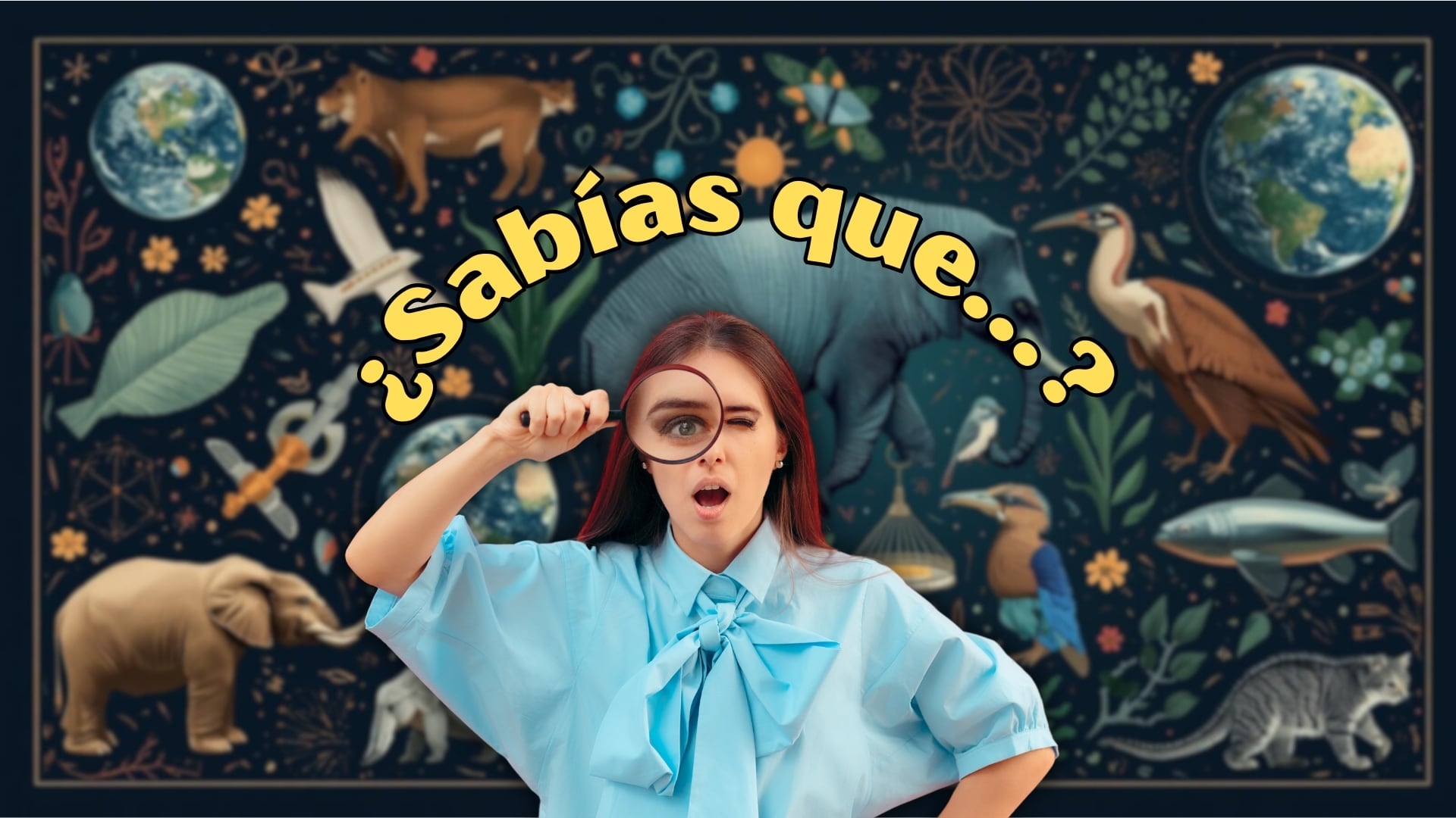 ¿Sabías que en realidad no vemos los colores tal como son, sino como ...