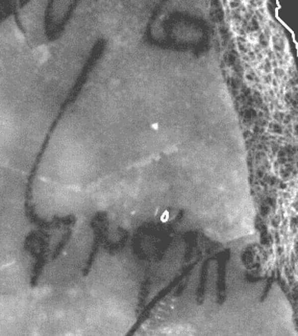 A 2,000-Year-Old Code Finally Deciphered: Here’s What One of the Dead ...