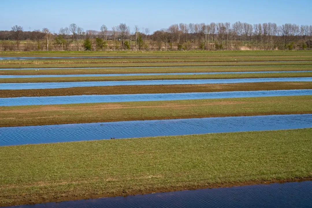 The water wars have begun: Why hedge funds are buying up farmland