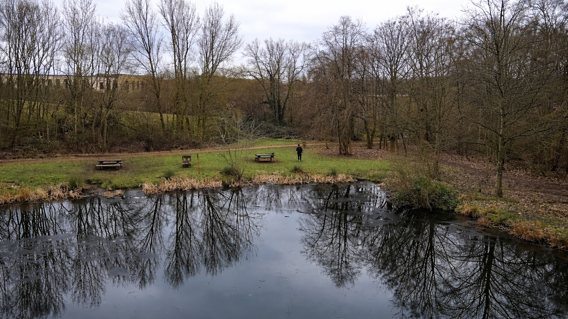 Building my own carp fishery with full costs