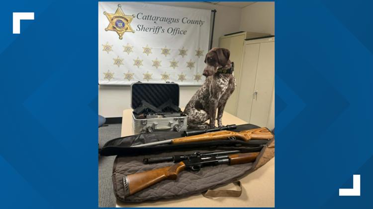 K-9 helps officers uncover guns and drugs during East Otto parole check
