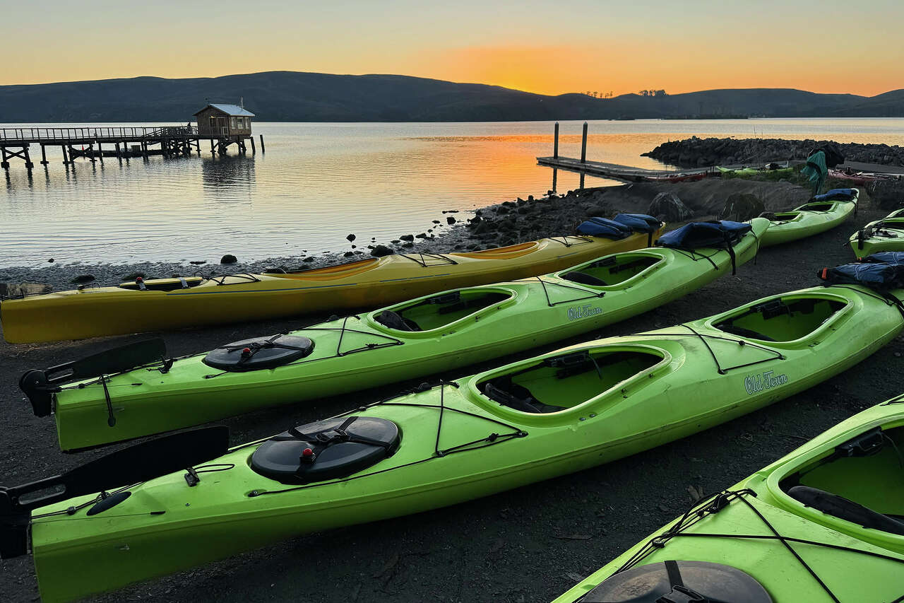 The hunt for a rare phenomenon on Point Reyes National Seashore