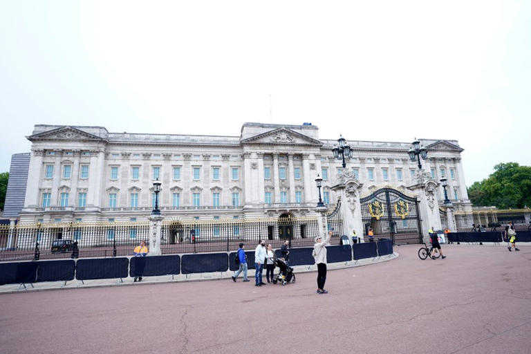 King to save 'highly vulnerable' palace gates as planning documents emerge