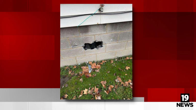 3 kids steal and crash car into home after watching YouTube tutorials ...