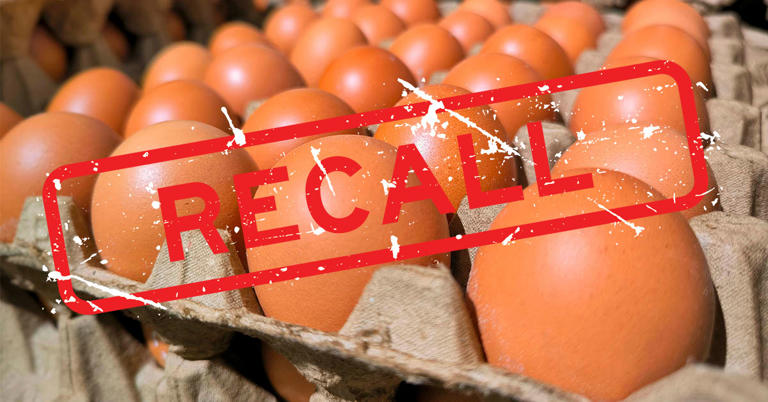 Recall alert: Salmonella outbreak linked to eggs leaves 63 ill and 13 ...