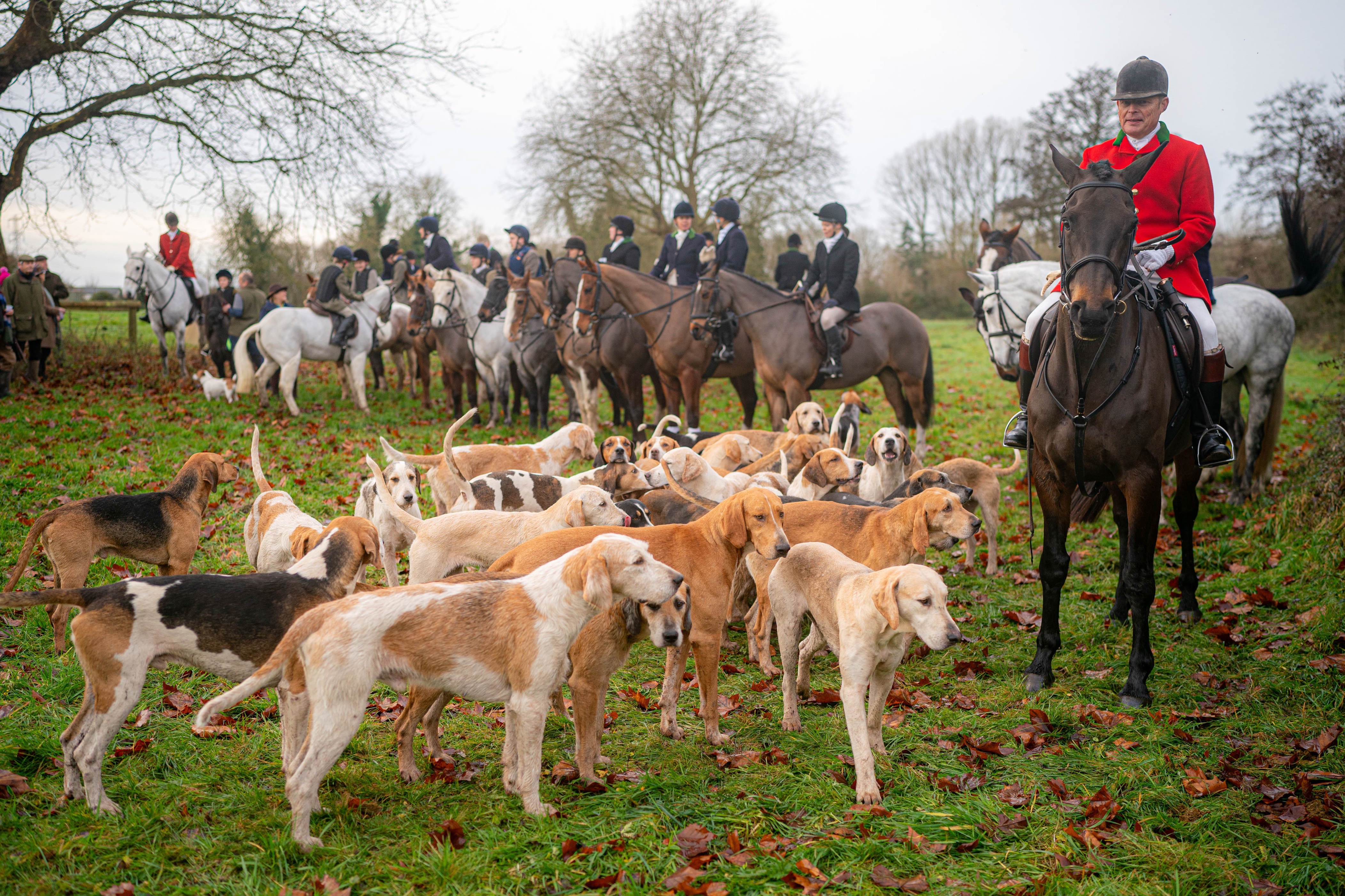 Trail hunting to be banned under new animal welfare push