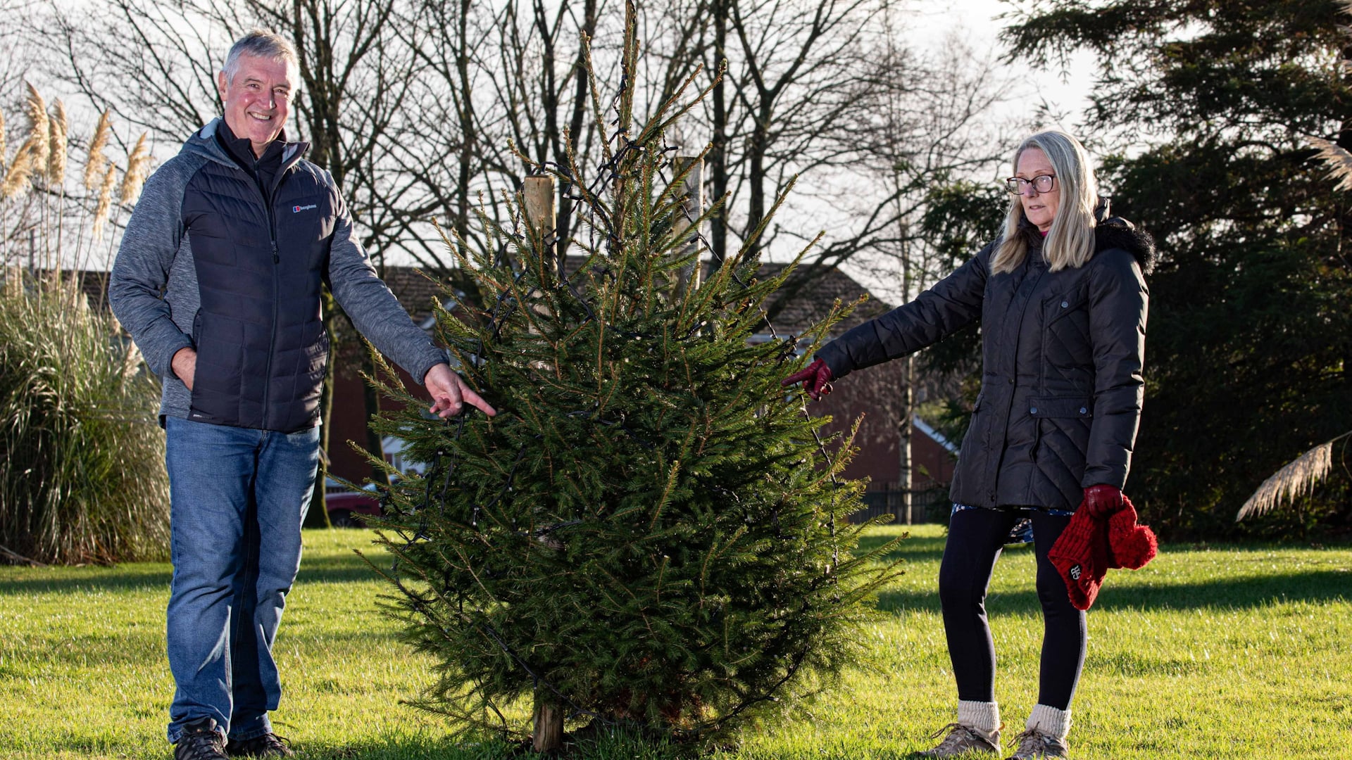 Residents left scratching heads after 50ft Xmas tree replaced with 'twig'