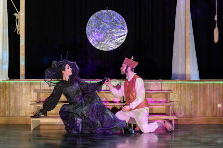 Protein dance - The magic flute